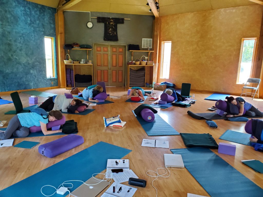 Sensory-Enhanced Yoga Institute - Training For Health Professionals